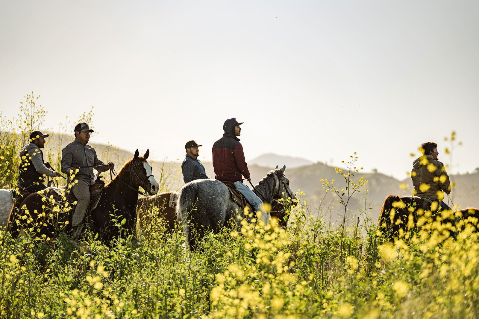 The Land | Kiani Preserve