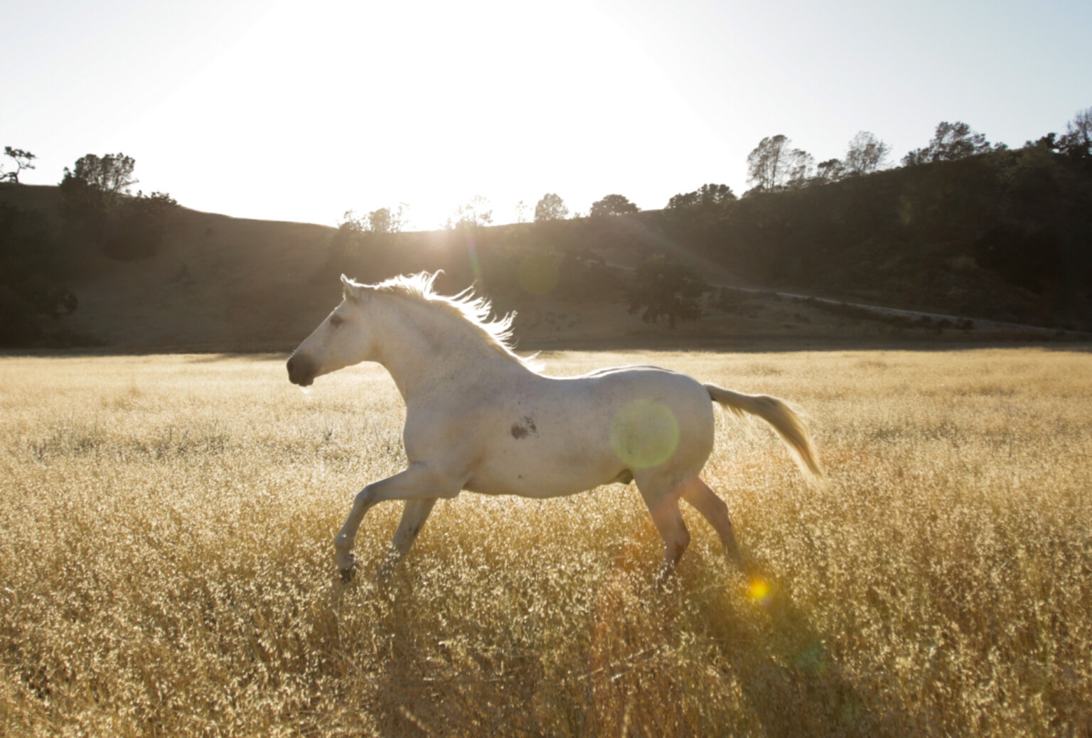 The Land | Kiani Preserve