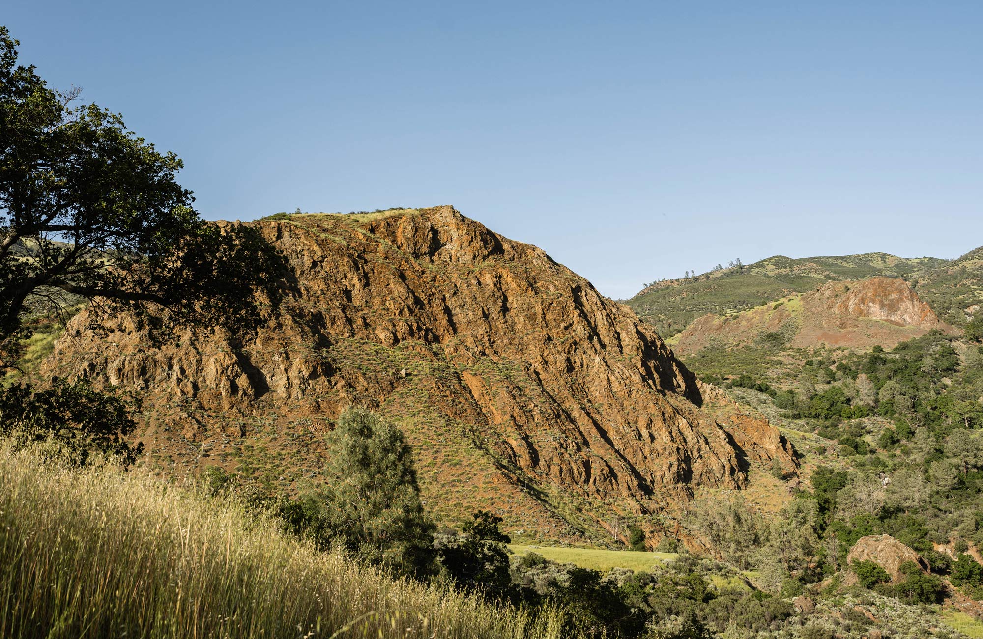 Offerings & Updates | Kiani Preserve